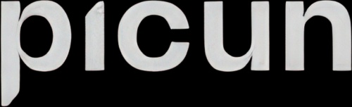 Picun Headphones Premium Online Website